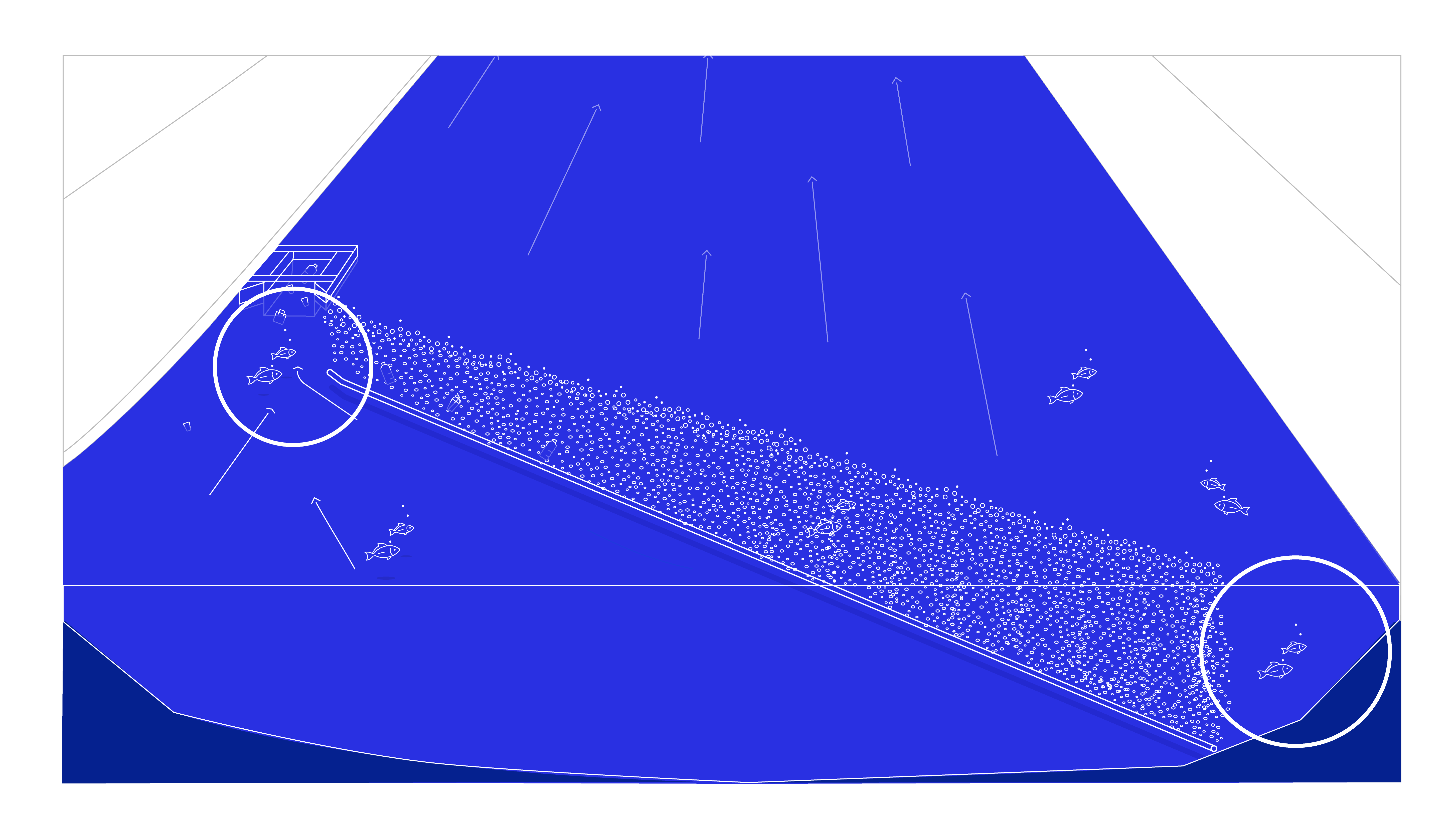 Fish-Passage-Illustration-2 - The Great Bubble Barrier®