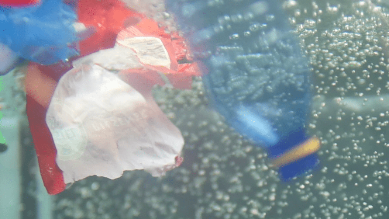 Fish and Bubble Barriers - The Great Bubble Barrier®